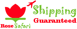 Ever Red Roses - Rose Safari